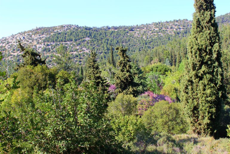 Αισθητικό Δάσος Υμηττού - Βόλτα και πικ νικ με την οικογένεια