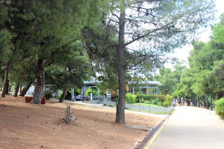 6+1 δράστηριότητες με τα παιδιά στο Άλσος Βεΐκου Γαλατσίου